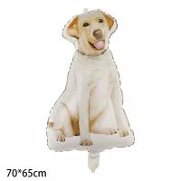 China Wholesal New Big dog paw balloon cute dog cartoon aluminum foil balloon dog bone balloon for pet birthday party for sale