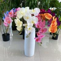 China Natural Real Touch Latex Moth Orchid Decorative Artificial Flower Butterfly Orchid for sale
