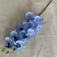 China Natural Real Touch Latex Moth Orchid Decorative Artificial Flower Butterfly Orchid for sale
