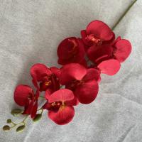 China Natural Real Touch Latex Moth Orchid Decorative Artificial Flower Butterfly Orchid for sale