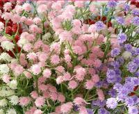 China Babysbreath Decorative Artificial Flowers Wedding Home Party Decoration for sale