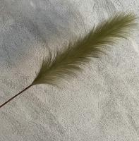 China Artificial Silk Reed Pampas Grass Home Wedding Decor Backdrop Decoration for sale