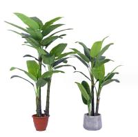China Big Leaves Artificial Evergreen Leaves Japonica Floor Plants for sale