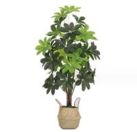 China Artificial Plants Tree Potted Fake Money Tree Indoor Office Home Decor for sale