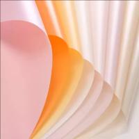 China Solid Floral Bouquet Wrapping Paper Waterproof Flower Packaging for Florist Supplies for sale