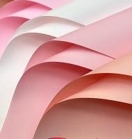 China Single Colour Print Flower Wrapping Paper for Customized Bouquet Packaging for sale