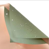 China Bright Starry Sky Waterproof Wrapping Paper Advanced Two-color Thickened For Fresh Flower for sale