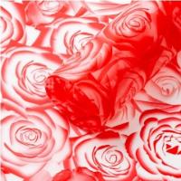 China Waterproof OPP 56*56cm Flower Wrapping Paper for Korean Bouquets by Rose Beauty for sale
