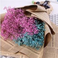 China 50*70cm Flower Wrapping Paper in Vintage English Newspaper Style for Gift Packaging for sale