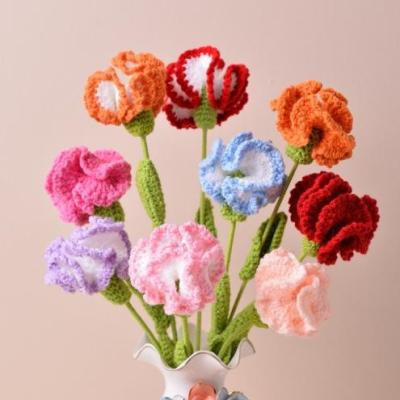 China Mother's Day Gift Handmade Bouquet with Finished Crochet Carnation Artificial Flowers Multiple Color 20x5cm for sale