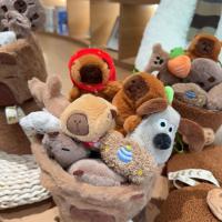 China Cute 20x35cm Capybara Plush Doll Cartoon Doll Bouquet Great Gift for Girlfriend on Valentine's Day for sale