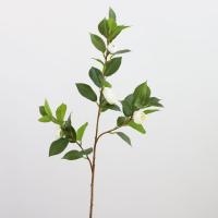 China Camellia Artificial Flowers for Wedding Photography Props and Living Room Dining Table Decoration in Plastic Material for sale