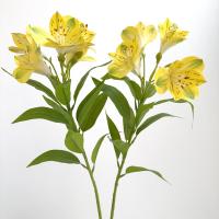 China Narcissus and Daffodil Artificial Flowers Elegant Faux Floral Arrangement for Living Room or Dining Table Decor for sale