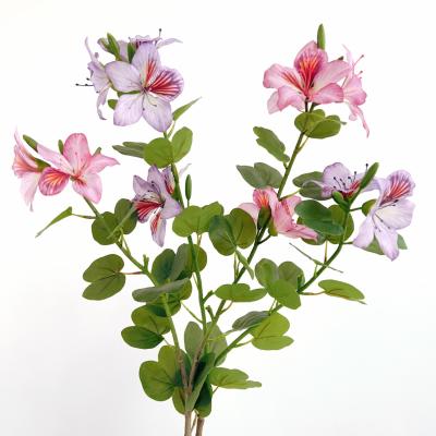 China Chinese Redbud Plastic Artificial Bauhinia Flower for Home and Hotel Decor for sale