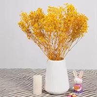 China 100g Dried Flower Artificial Bouquet Baby Breath Gypsophila Flower Wedding Decor Centerpiece for sale