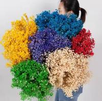 China 100g Dried Flower Artificial Bouquet Baby Breath Gypsophila Flower Wedding Decor Centerpiece for sale