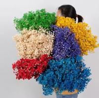 China 100g Dried Flower Artificial Bouquet Baby Breath Gypsophila Flower Wedding Decor Centerpiece for sale