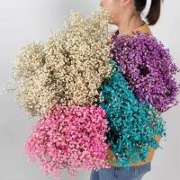 China 100g Dried Flower Artificial Bouquet Baby Breath Gypsophila Flower Wedding Decor Centerpiece for sale