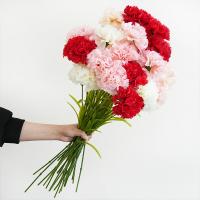 China Kangnaixin Mother's Day gift artificial flowers, high-end silk flowers for home decoration for sale