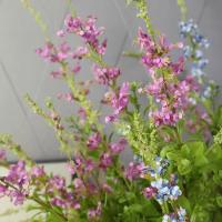 China Artificial Salvia Grass Small Wild Flower Silk Sage With Flowers for Bridal Bouquet Filler Wedding Indoor Decoration Plants for sale