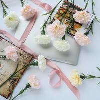 China Kangnaixin Mother's Day gift artificial flower home decoration for sale