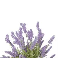 China 42cm Factory Direct Sale Bonsai Plants Lavender for Indoor Decoration Housewarming Gift Artificial Flowers for sale