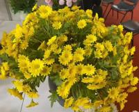 China Marguerite Flower Daisy Bouquet Silk Artificial Daisy Flowers Valentines Flowers Wedding Decor Chamomile for sale