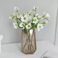 China Wholesale 5 Heads Dodder Flower Artificial Hellebore Flower for Home Decoration for sale