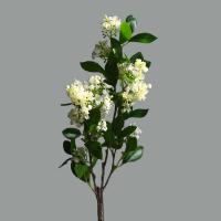 China A single branch of 