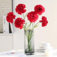 China Simulated flowers, carnation bouquets, dried flowers, family holidays, living room decoration, dining table, photography props, ornaments, fake flowers for sale