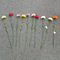 China Artificial flower carnations, home decoration items, outdoor wedding bouquets, scene arrangements, wholesale of artificial flowers and green plants for sale