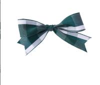 China Special Offer 2.6CM New Product Grid Ribbon Ribbon Accessories Decorative Ribbon Gift Box Baking Bouquet Packaging for sale