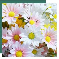 China Chamomile simulation, small daisy, fake flower, living room decoration, dining table, fake flower decoration, flower arrangement, ornaments, photography props for sale