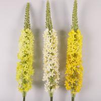 China Decoration Fox Tail Grass Simulation Flower Home Living Room Ponytail Flower Flying Swallow Grass Flower Arrangement Wedding Simulation Fox Tail Grass Wholesale for sale