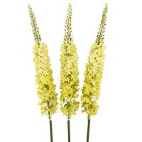 China Decoration Fox Tail Grass Simulation Flower Home Living Room Ponytail Flower Flying Swallow Grass Flower Arrangement Wedding Simulation Fox Tail Grass Wholesale for sale