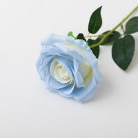 China A single broken ice blue rose with a realistic touch for Valentine's Day home decoration shoot, featuring Ecuadorian roses for sale