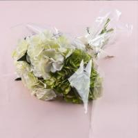 China Waterproof Flower Bouquet Wrapping Paper 70 Sheets Fully Transparent Cellophane Flower Shop Supplies 52*52cm Many Colors for sale
