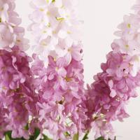 China Simulated Single Branch Fox Tail Flower Decoration Fox Tail Grass Home Hotel Wedding Flower French Fox Tail Flower Simulation Flower Wholesale for sale