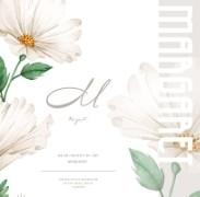 China Chinese style national flower Fenghua fresh flower packaging paper for sale