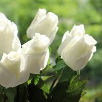 China Simulated Rose Texture Moisturizing Rose Bud Simulated Flower Home Decoration Wedding Handheld Flower Fake Flower Cross border Wholesale for sale