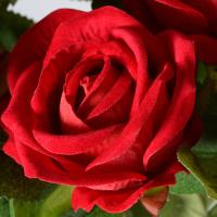 China Simulated velvet rose, fake flower, wedding home decoration, Valentine's Day, artificial bouquet with tactile feel for sale