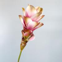 China Simulated Flowers, Ginger Flowers, Lotus Flowers, 3D Printing, Texture Flowers, Home Decor, Model Room Decoration, Wedding Scenery Props, Bouquet for sale