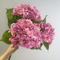 China Biomimetic hydrangea flowers, simulated flowers, moisturizing touch, hydrangea bouquets, living room dining table decorations, wedding flower arrangement decorations for sale