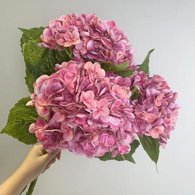 China Biomimetic hydrangea flowers, simulated flowers, moisturizing touch, hydrangea bouquets, living room dining table decorations, wedding flower arrangement decorations for sale