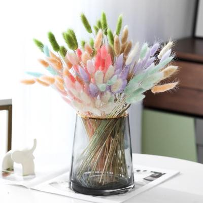 China Ins website red flower bouquet eternal life flower home living room decoration ornament rabbit tail grass dog tail grass dried flower for sale