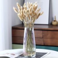 China Ins website red flower bouquet eternal life flower home living room decoration ornament rabbit tail grass dog tail grass dried flower for sale