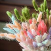 China Ins website red flower bouquet eternal life flower home living room decoration ornament rabbit tail grass dog tail grass dried flower for sale