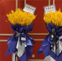 China Handcrafted Floral Art Jincai Paper's Grand Opening with Two-Color Gilded Ouya Flower Wrapping Paper for sale