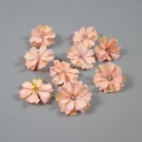 China Simulated Star Language Flower Gift Box Flower Box Accessories Daisy Flower Head Handmade Material Hair Accessories Skirt Support Decorative Flowers for sale