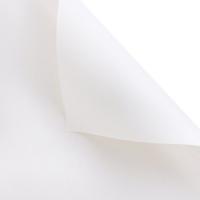 China Solid Color Ins Floral Flower Packaging Paper for Florist Wrapping and Bouquet Packing Shipping Time 30-45Days for sale